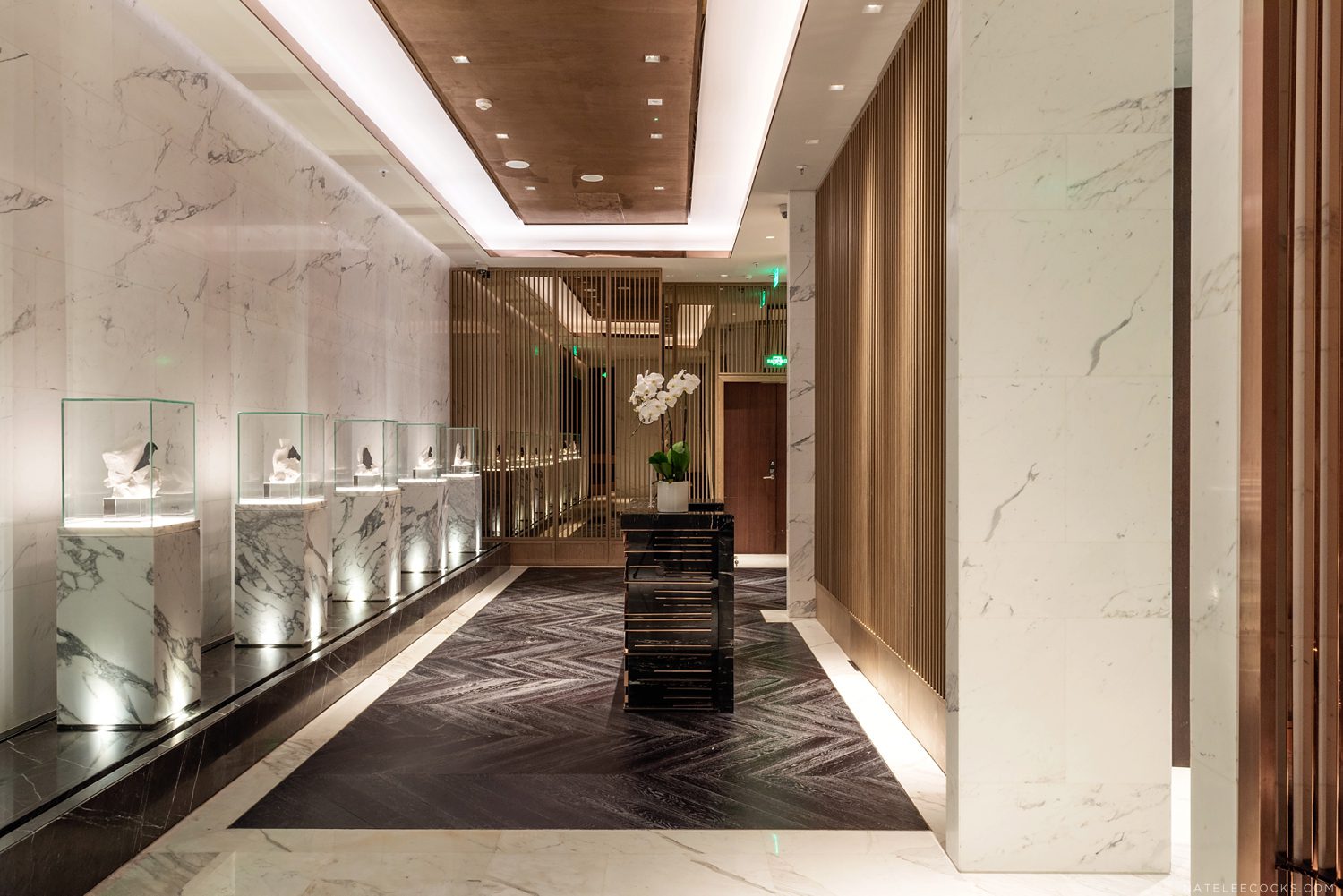 RAFFLES SHENZHEN, CHINA - Natelee Cocks